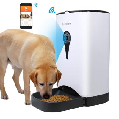 Best Automatic Dog Feeder Reviews in 2020 | Dog Equipment Expert